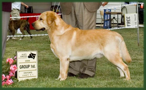 Lobuff History - Males part 2