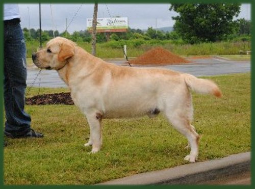 Lobuff's Heir Apparent